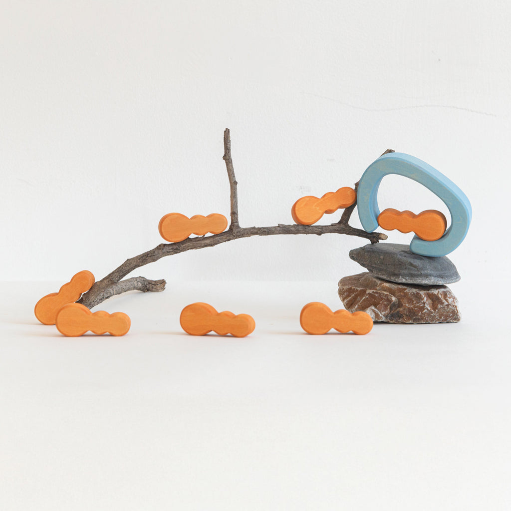 Ant House Block Set – AVDAR